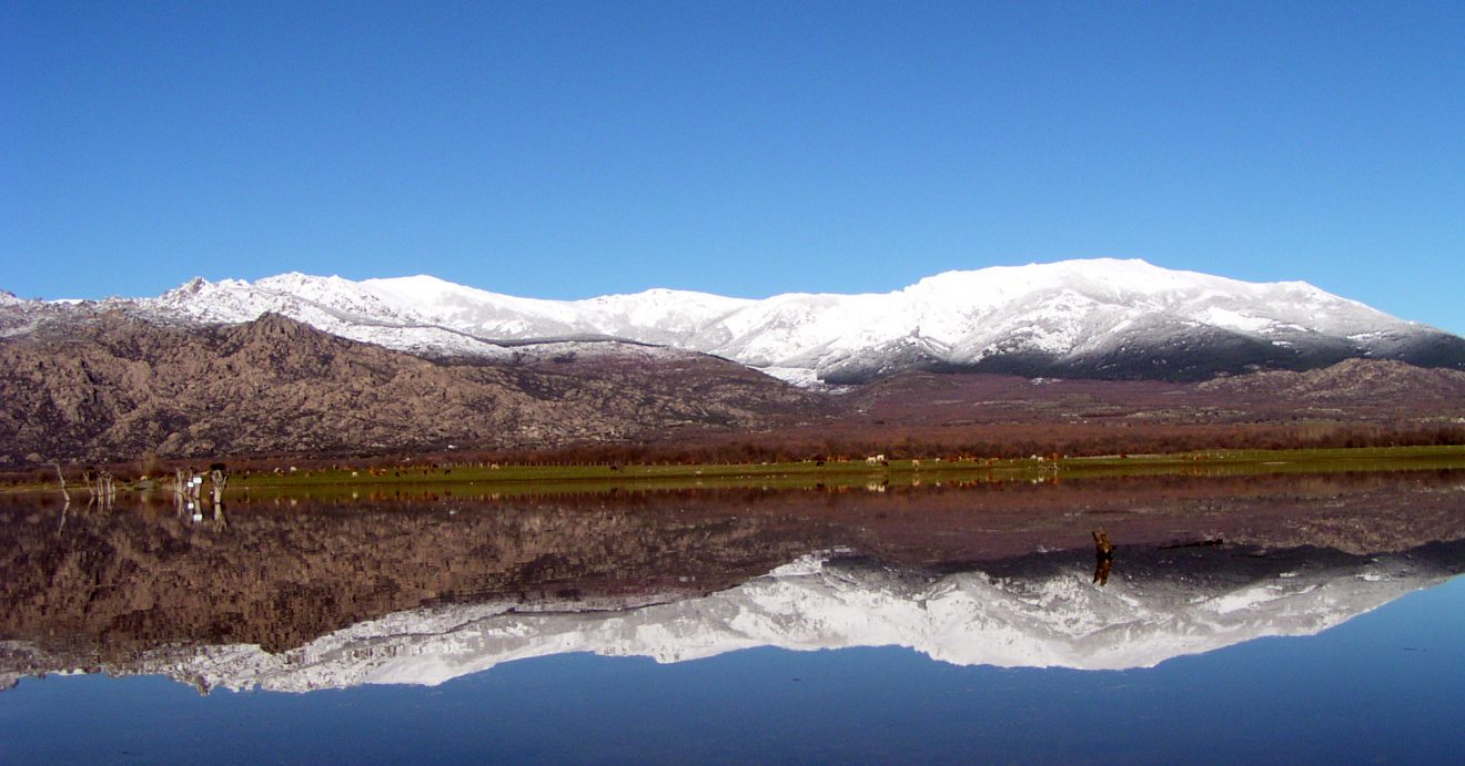 Qué ver - Ayuntamiento - Soto del Real